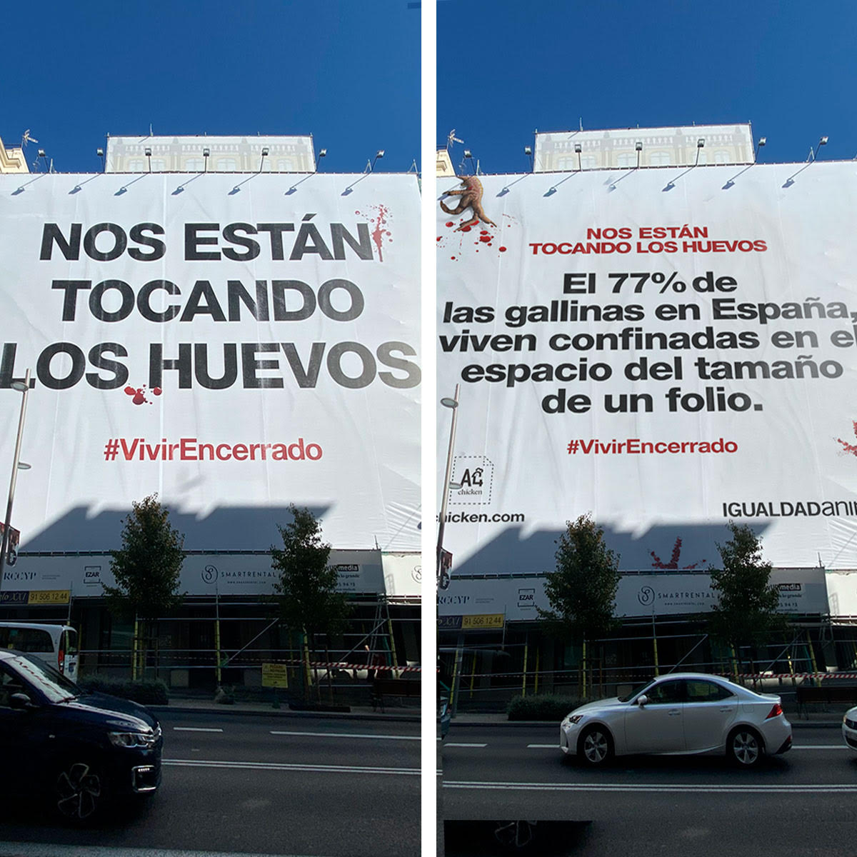 Campaña A4-Chicken: ¡Basta de gallinas enjauladas!