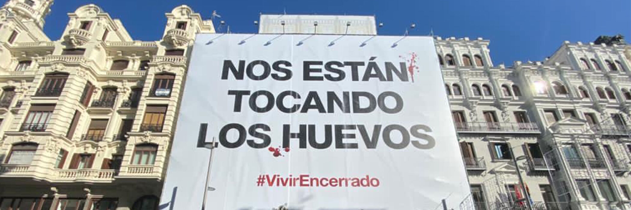 Campaña A4-Chicken: ¡Basta de gallinas enjauladas!