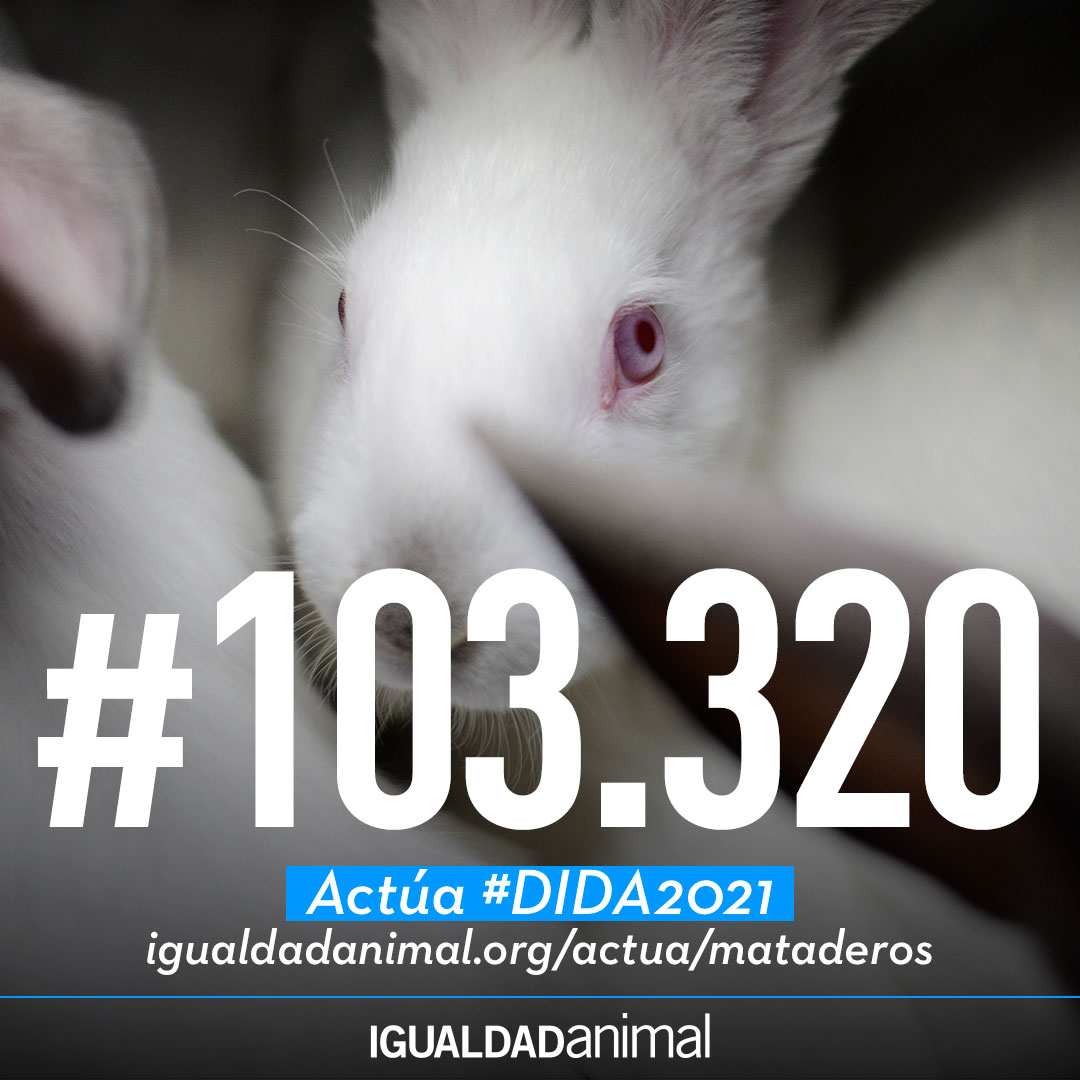Estés donde estés, eres clave en el #DIDA2021