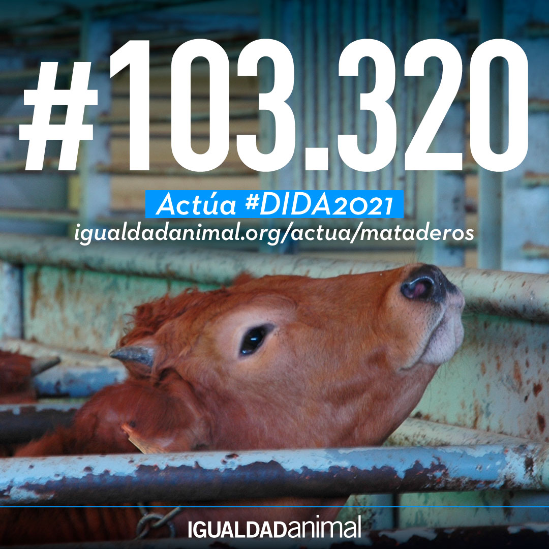 Estés donde estés, eres clave en el #DIDA2021