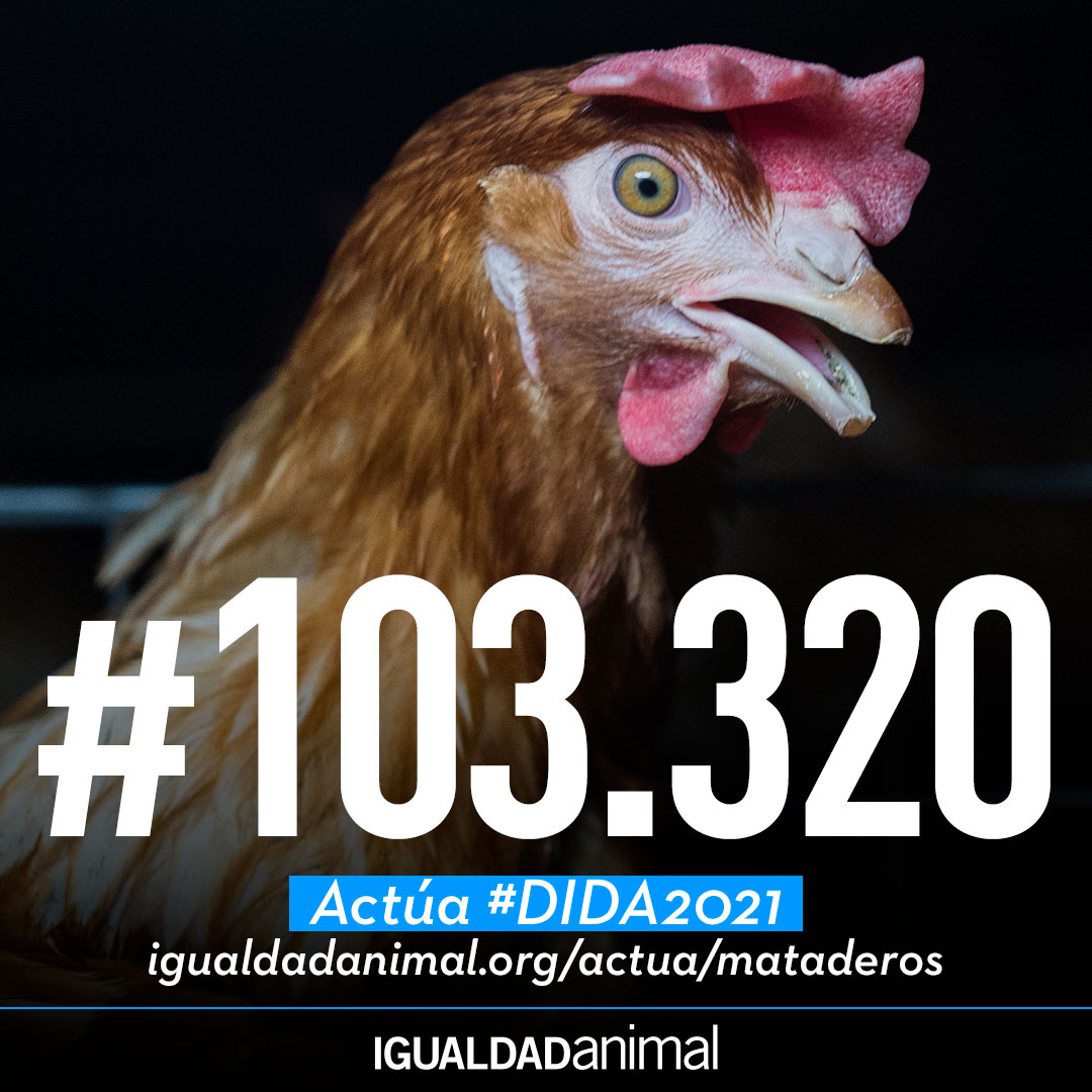 Estés donde estés, eres clave en el #DIDA2021