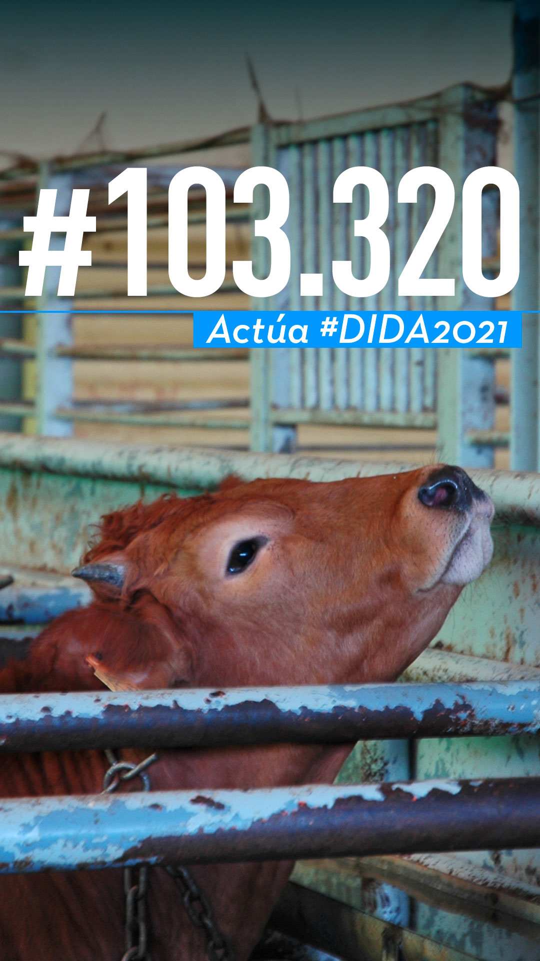 Estés donde estés, eres clave en el #DIDA2021