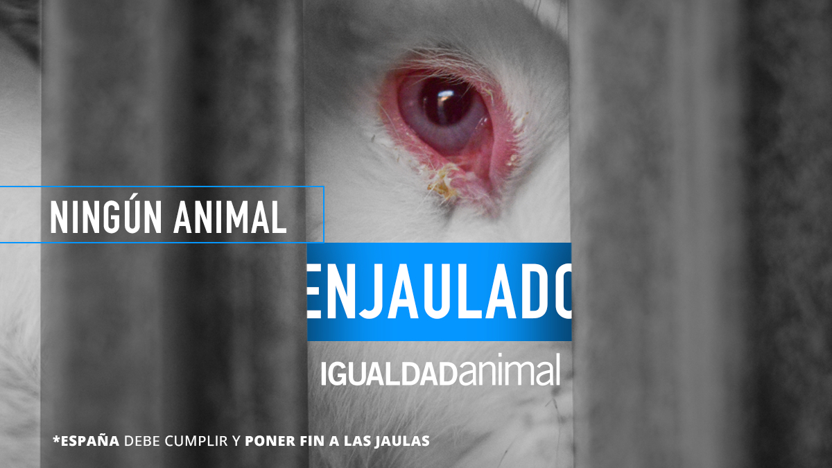 Ningún Animal Enjaulado